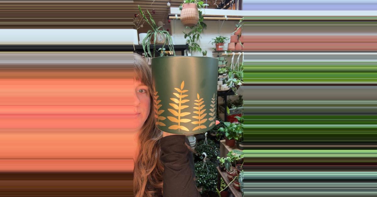 gold overlay planter 6” ($40) from @brumleyandbloom