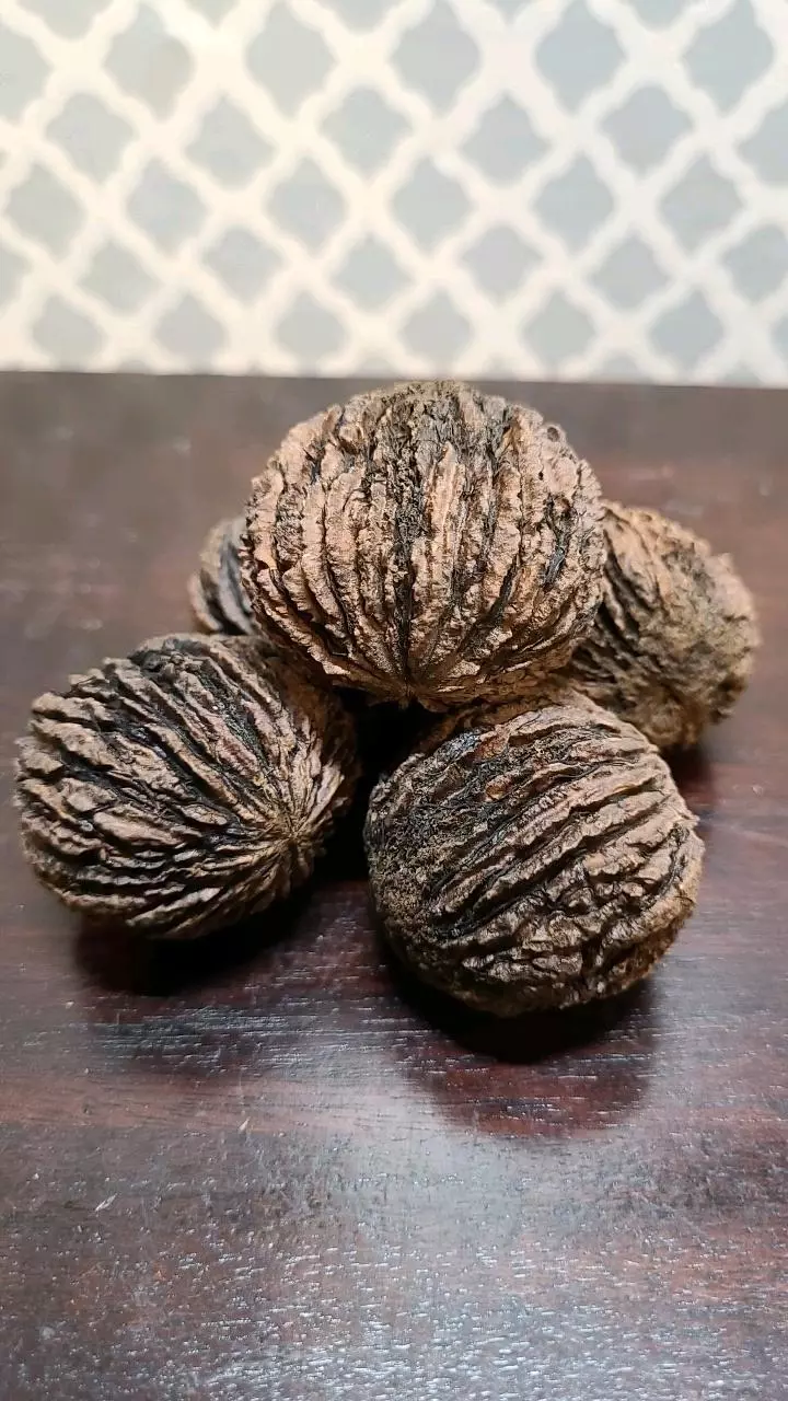 Dried Black Walnuts for Decor and Crafting 1lb ($4) from @BlackGumAcres