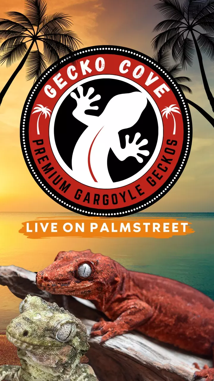 Gecko Apps Logo Gecko | Spa & Hot Tub: Controls, Keypads, Pumps,