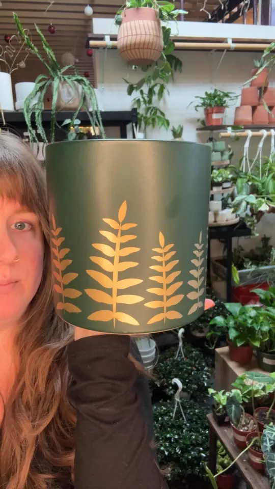 gold overlay planter 6” ($40) from @brumleyandbloom